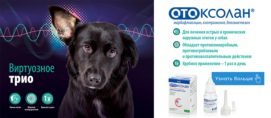 Первая ветеринарная аптека Ижевск – препараты для лечения и товары ...