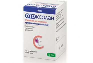 Первая ветеринарная аптека Ижевск – препараты для лечения и товары ...